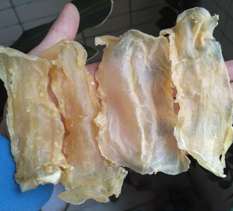 新品上市 | ZEALiNG国内首发新西兰全链条溯源鳕鱼胶 - 广州安嘉仁贸易有限公司_溯源鱼胶_溯源花胶_进口花胶-挪威花胶